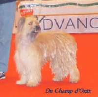 Résultats - Elevage du Champ D'Onix - éleveur-sélectionneur de chiens ...